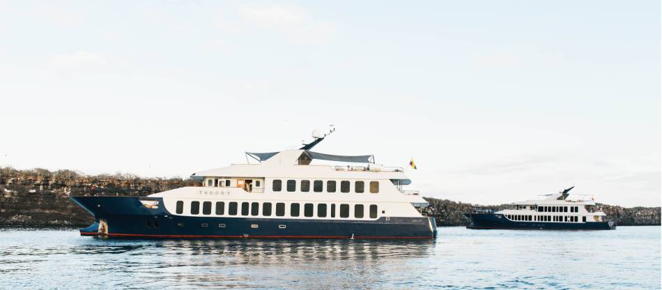 Origin, Theory & Evolve