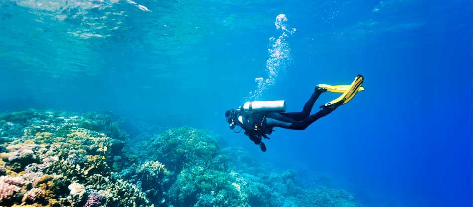 World Wide Diving Holidays | Book Now | On Water Expeditions